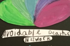 Avoidable Deaths Network (ADN)
