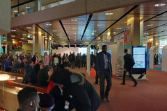 Avoidable Deaths Network (ADN)