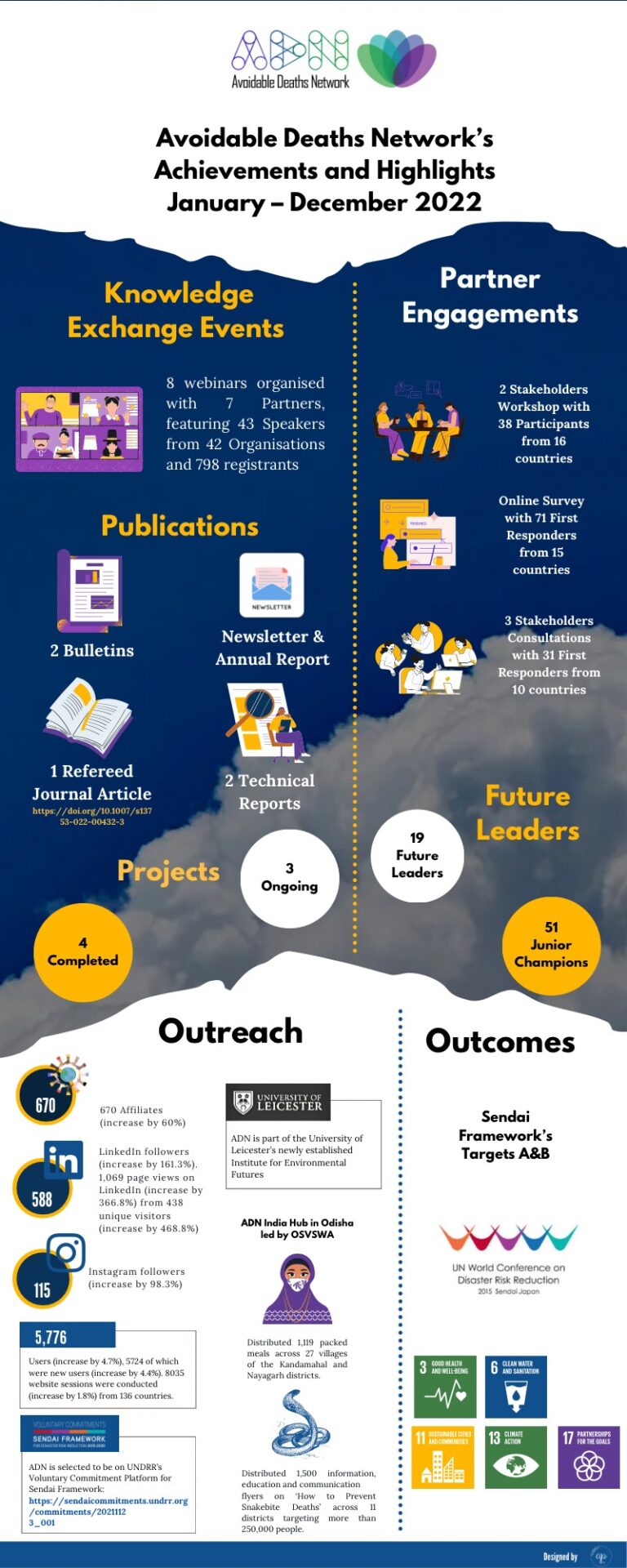 Annual Achievements Posters | Avoidable Deaths Network